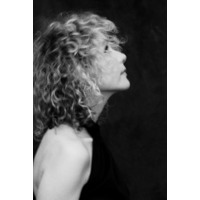 Artist Profile - Sarah Dashew - Pictures